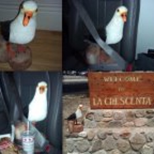 Stream Alan Janoyan music | Listen to songs, albums, playlists for free ...