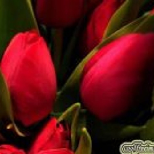 Stream Sheree Jacobs Yoder | Listen to sky playlist online for free on ...