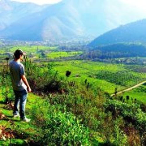 Stream Paolo Alvarez Ponce music | Listen to songs, albums, playlists ...