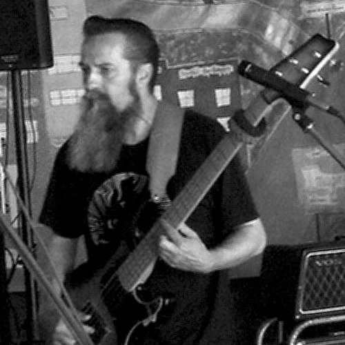 Stream Spiders From Milwaukee - All The Young Dudes by joe-polizzi-1 ...