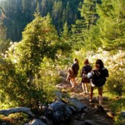 Stream Kate Elise Burkhardt music | Listen to songs, albums, playlists ...