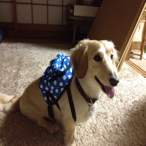 Stream hidetoshi azuma music | Listen to songs, albums, playlists for ...