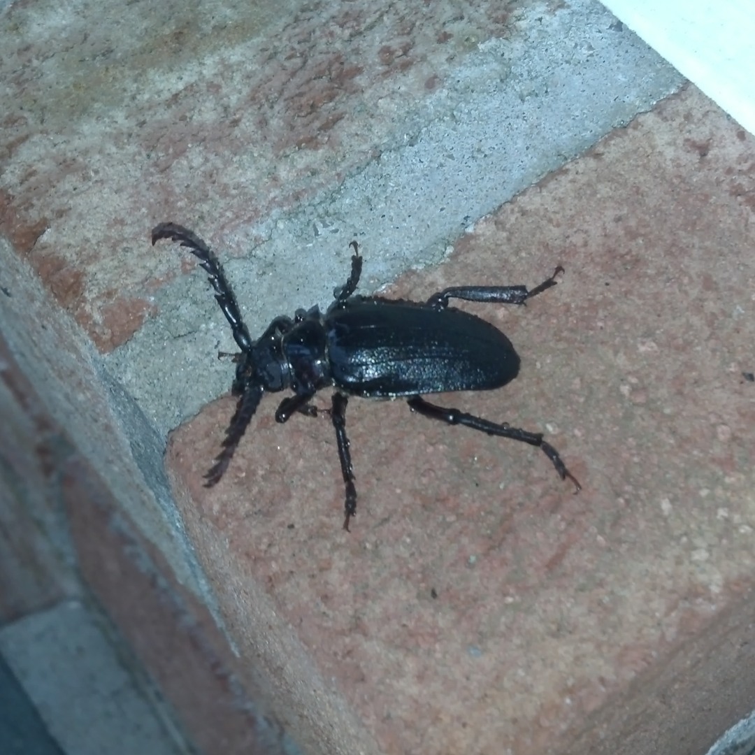 Stream Varga! by NFDJ | Listen online for free on SoundCloud