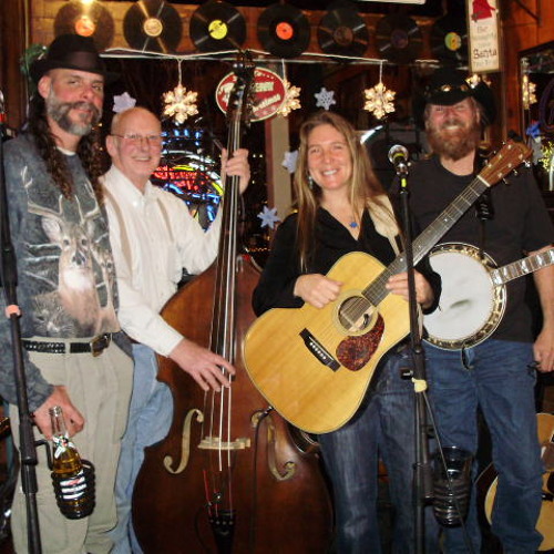 Stream The Blue Mule Band music | Listen to songs, albums, playlists ...