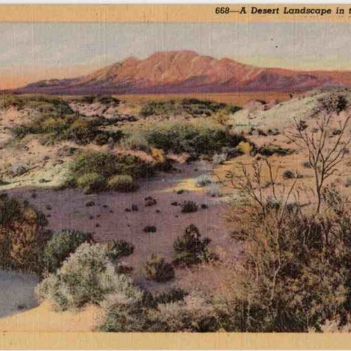 Stream Stayton Bonner music | Listen to songs, albums, playlists for ...