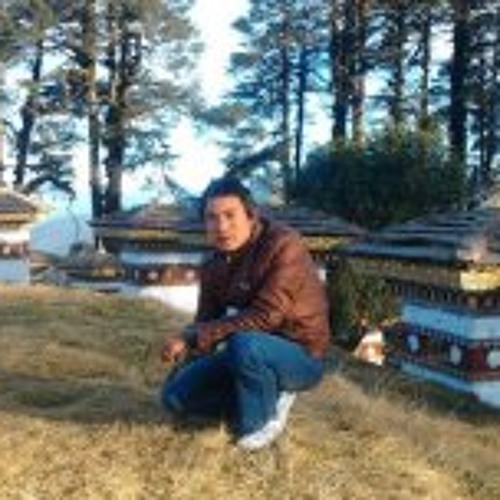 Stream Nima Gyeltshen 1 music | Listen to songs, albums, playlists for ...