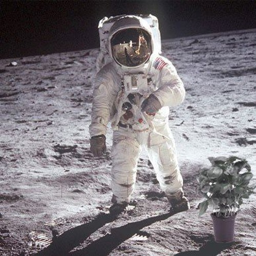 Stream Michele Rotunno music | Listen to songs, albums, playlists for ...