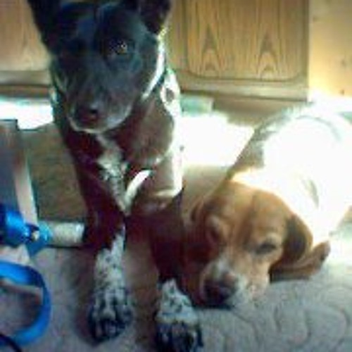 Stream Pierre Otto music | Listen to songs, albums, playlists for free ...