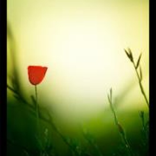 Stream Pooya Moradi music | Listen to songs, albums, playlists for free ...