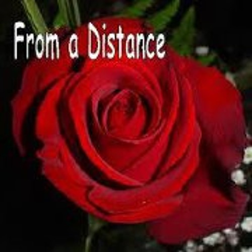 Stream Connie Light music | Listen to songs, albums, playlists for free ...