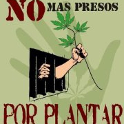 Stream Bryan Salgado music | Listen to songs, albums, playlists for ...