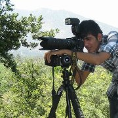 Stream Dhvanit Patel music | Listen to songs, albums, playlists for ...