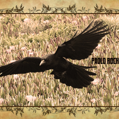 Stream Paolo Rocha music | Listen to songs, albums, playlists for free ...
