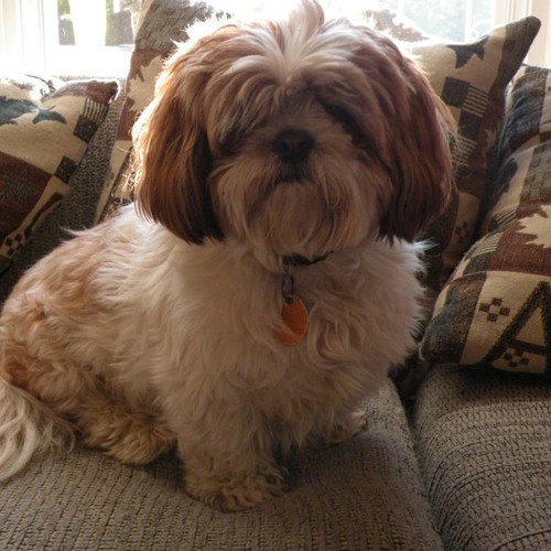 Stream craig reddy music | Listen to songs, albums, playlists for free ...