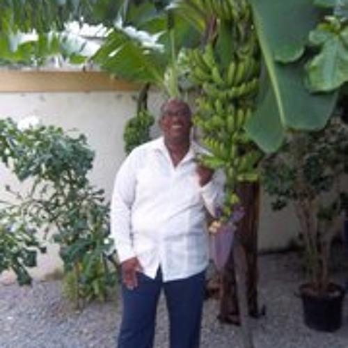 Stream José Daniel Mieses music | Listen to songs, albums, playlists ...