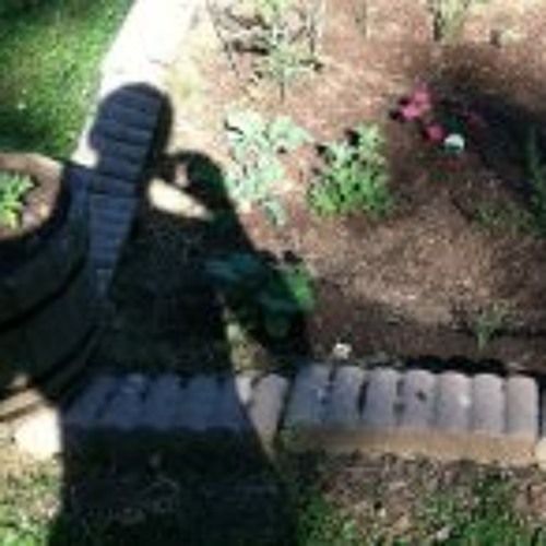 Stream Nick Manhart music | Listen to songs, albums, playlists for free ...