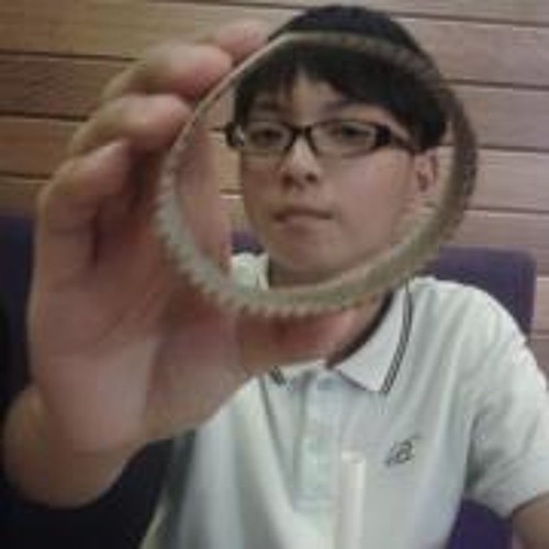 Stream Ys Sam music | Listen to songs, albums, playlists for free on ...