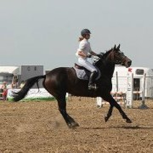 Stream Laura Terpstra music | Listen to songs, albums, playlists for ...