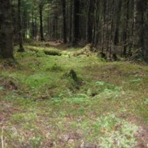 Stream Alexandra Jacques music | Listen to songs, albums, playlists for ...