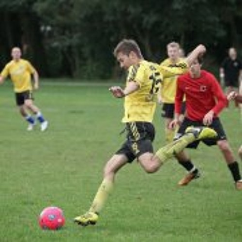 Stream Harry Gamsu music | Listen to songs, albums, playlists for free ...