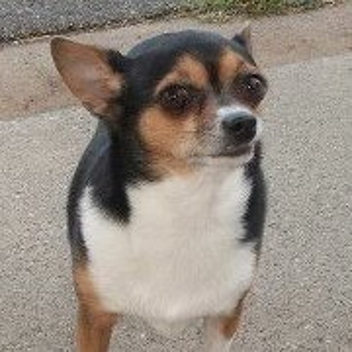 Stream Sheri Carter Biggs Ŧ music | Listen to songs, albums, playlists ...