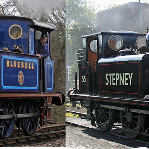 Stream Terrier55Stepney music | Listen to songs, albums, playlists for ...