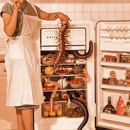 Stream The Garbage Pail Kids - Spiders In Your Kidney And Racoons ...