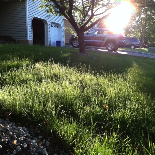 Stream Two Headed Boy Part 2 cover by ndefected19 | Listen online for ...