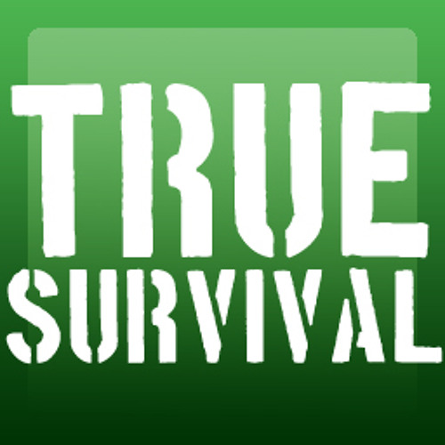 Stream True Survival - Sprites by TrueSurvival | Listen online for free ...