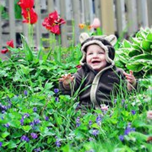 Stream Tim Duffin music | Listen to songs, albums, playlists for free ...