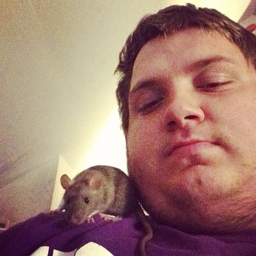 Stream Justin Seely music | Listen to songs, albums, playlists for free ...