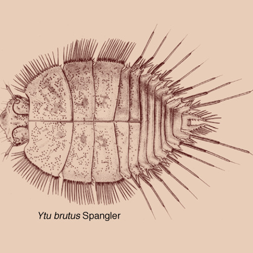 Stream Pieza Kake music | Listen to songs, albums, playlists for free ...