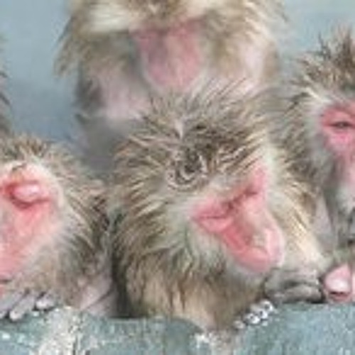 Stream Richard Gislason music | Listen to songs, albums, playlists for ...