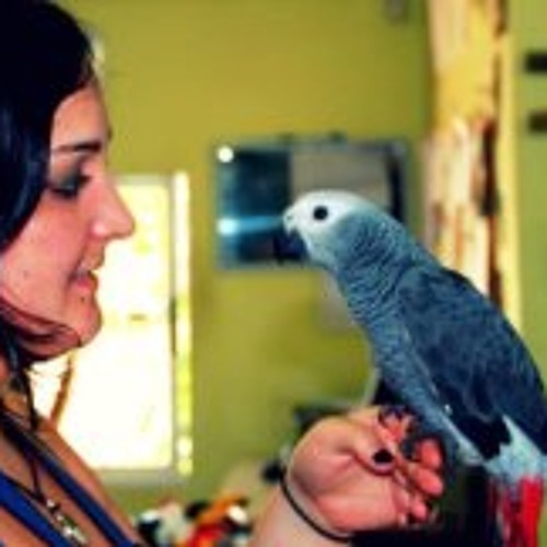 Stream Anna Batlle Canalias music | Listen to songs, albums, playlists ...