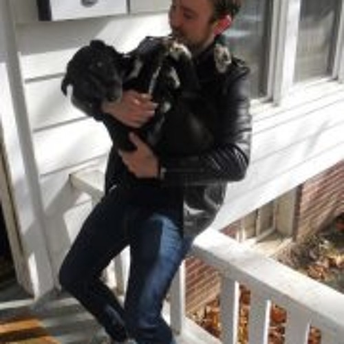 Stream Xylosaurus Rex music | Listen to songs, albums, playlists for ...