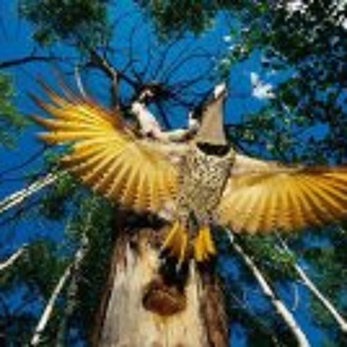 Stream jkho music | Listen to songs, albums, playlists for free on ...