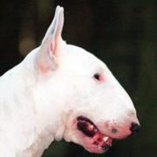 Stream Martin de Boer 1 music | Listen to songs, albums, playlists for free on SoundCloud