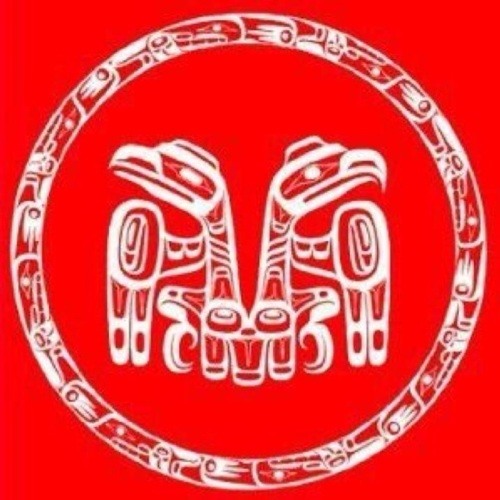 Stream haida brave music | Listen to songs, albums, playlists for free ...