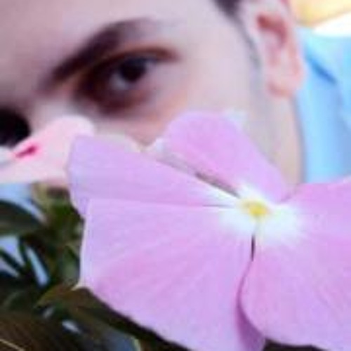 Stream Rafael Hahn music | Listen to songs, albums, playlists for free ...