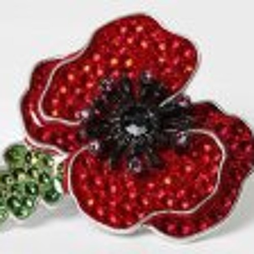 Stream Susan Biggs Loveridge music | Listen to songs, albums, playlists ...