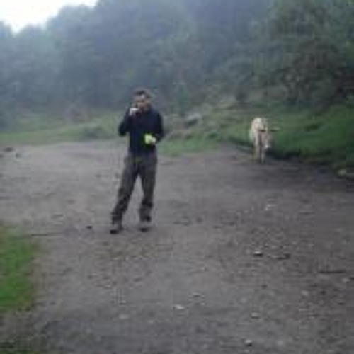 Stream Steve Cell music | Listen to songs, albums, playlists for free ...