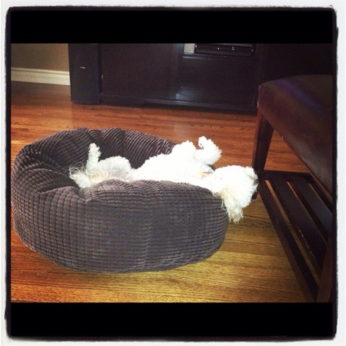 Stream evanorenstein music | Listen to songs, albums, playlists for ...