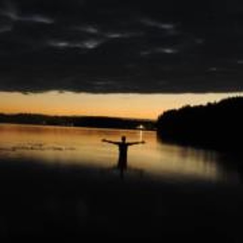 Stream sad walrus music | Listen to songs, albums, playlists for free ...