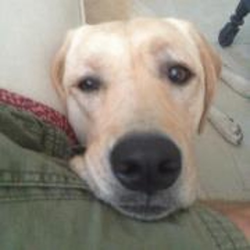 Stream Electrical Chair by Robin De Keyser | Listen online for free on ...