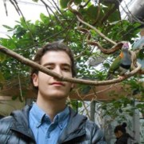 Stream Nils Åstrand music | Listen to songs, albums, playlists for free ...