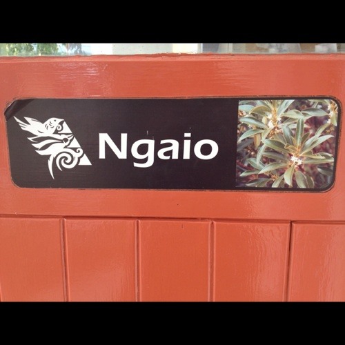 Stream "super mario poem" by Jack by ngaioclass | Listen online for ...