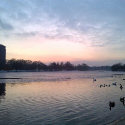 Stream Dina Al Juffali music | Listen to songs, albums, playlists for ...