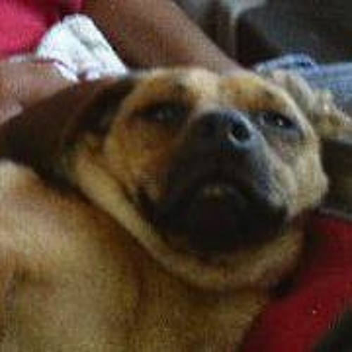 Stream Jordan Walton 2 music | Listen to songs, albums, playlists for ...