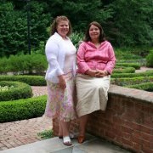 Stream We've Got the Power by Lisa Mayle Berger | Listen online for ...