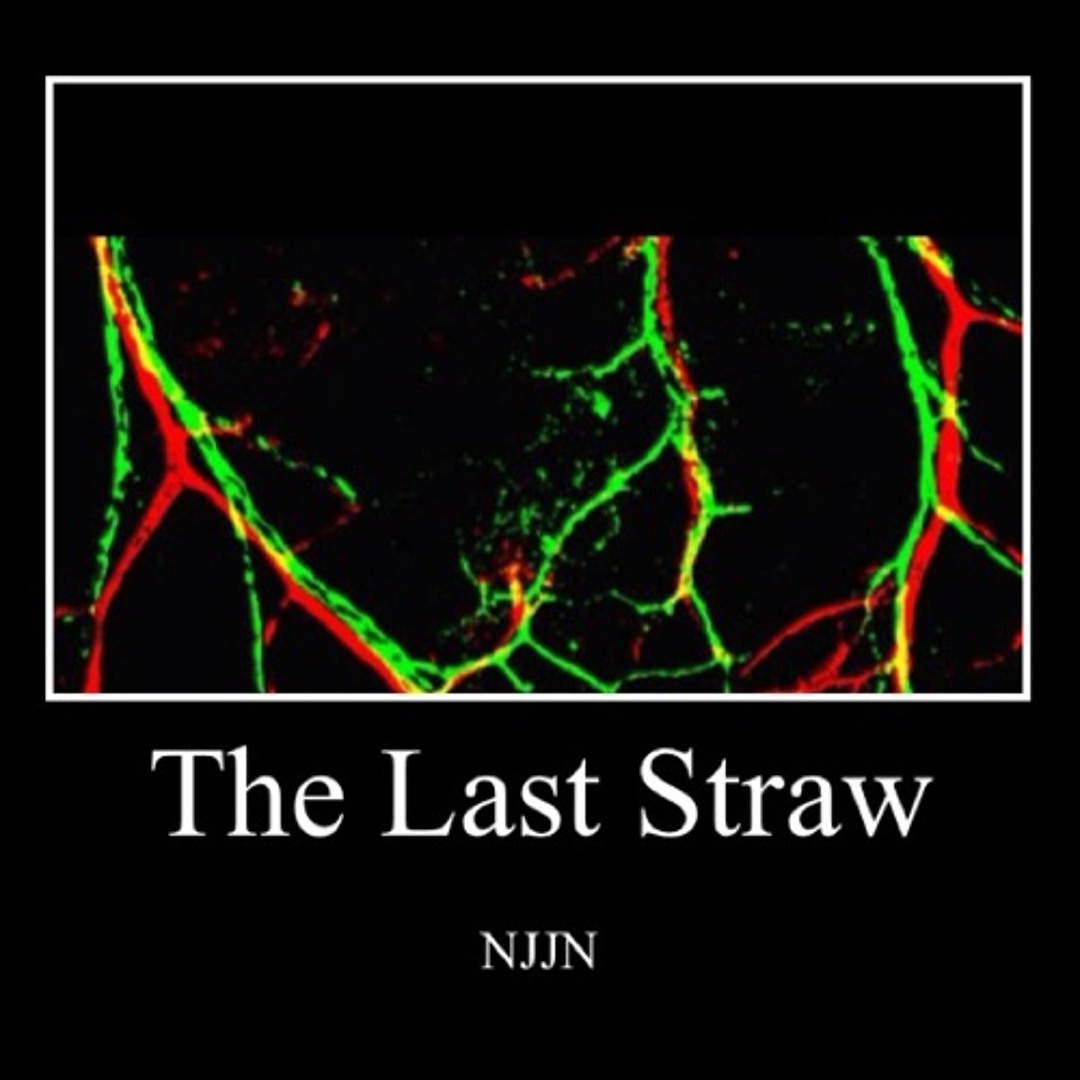 Stream NJJN music | Listen to songs, albums, playlists for free on ...